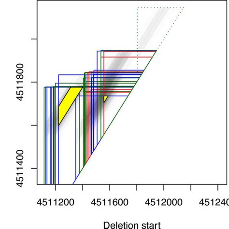 Region On Chromosome 19 Possibly Harboring Two Overlapping Deletions