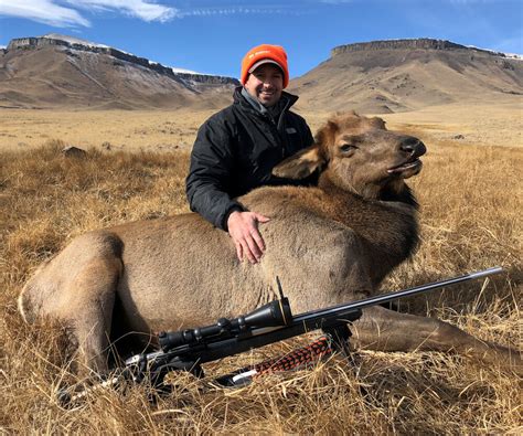 Guided Cow Elk Hunts In Wyoming With Wrbg Outfitters Hunt Mature Elk