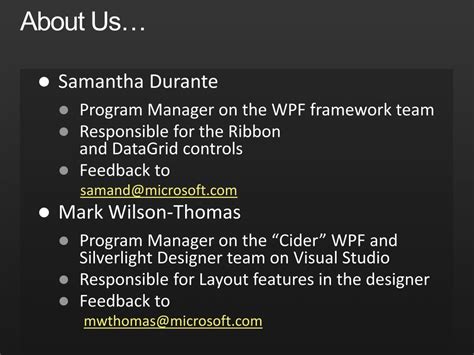 Ppt Building A Data Centric Application In Wpf Using The New Datagrid