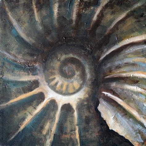 Ammonite Detail By Jo Sheppard