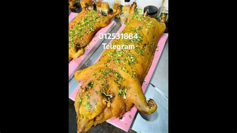 ចែ ជូ ជ្រូក កណ្តុរ អាំង អំបិល ម្ទេស Youtube