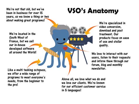 Who Is VSO Software