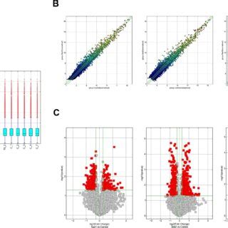 A Box Plot Was Used To Visualize The Distributions Of CircRNAs In The Download Scientific