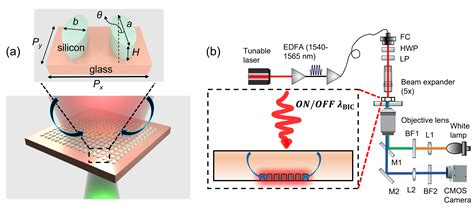 New Insights In Optofluidics The Power Of Dielectric Metasurfaces In