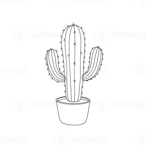 Simple Line Drawing Desert Cactus Potted Plant Minimalist Botanical