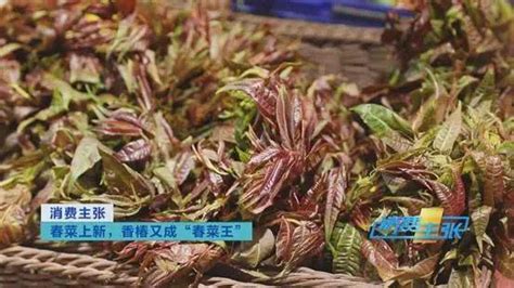 一斤上百元，还“一菜难求”？青州很多人爱吃香椿价格南京人