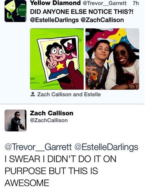 Future Vision Rstevenuniverse