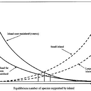 Graphic Representation Of Island Biogeography Theory Large Islands
