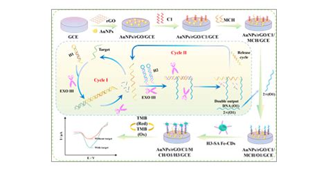 Fe Single Atom Carbon Dots Nanozyme Collaborated With Nucleic Acid