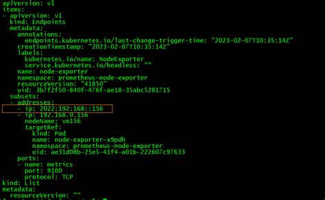 Istio Proxy On App Pod Reported Nfiglistenerv3listener Rejected Has Duplicate