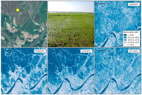 Remote Sensing Free Full Text Monitoring Rice Agriculture Across Myanmar Using Time Series