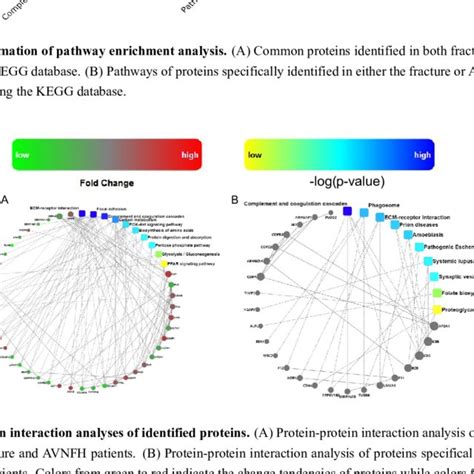 The Ecm Receptor Interaction Or Focal Adhesion Pathways Related Download Scientific Diagram