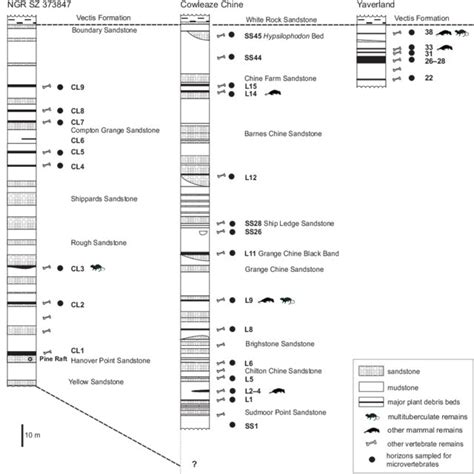 Schematic Lithological Logs Of The Wessex Formation To Show The Download Scientific Diagram