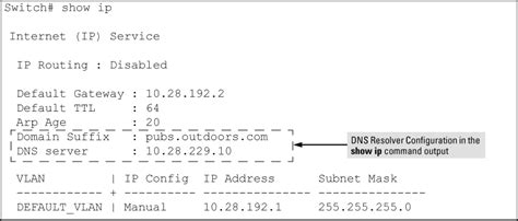 Viewing The Current Dns Configuration