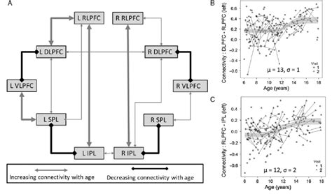 A Age Related Differences In Functional Connectivity Within The Download Scientific Diagram