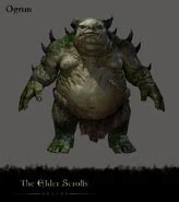 Ogrim Online Elder Scrolls Fandom