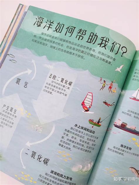 带领孩子探索神秘的海洋世界 知乎