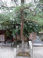 白峯神宮の観光情報