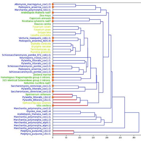 Unweighted Pair Group Method With Arithmetic Mean Tree For Di Domain