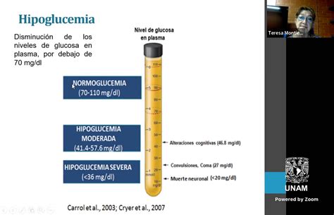 Descartan Muerte Neuronal Por Hipoglucemia Recurrente