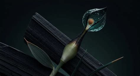 What Are The Implications Of Unequal Resource Distribution → Question