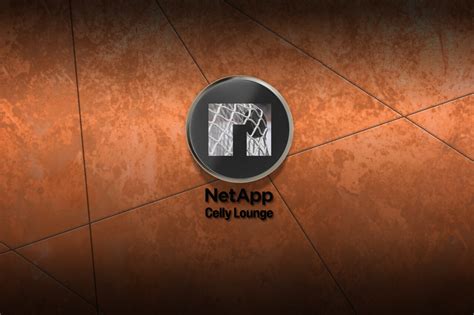 Netapp Case Study Revolution