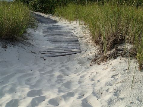 Premium Photo Footpath On Grassy Field