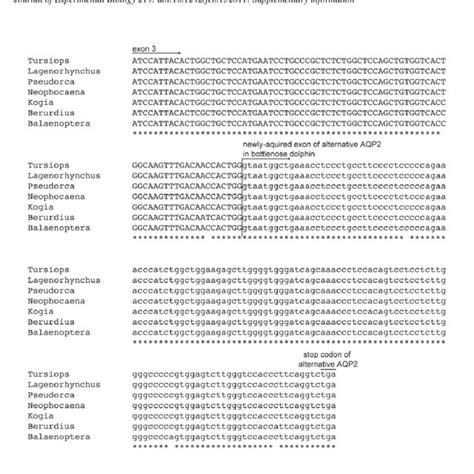 Fig S DNA Sequence Alignment Of The Region Through Exon To The Download Scientific Diagram