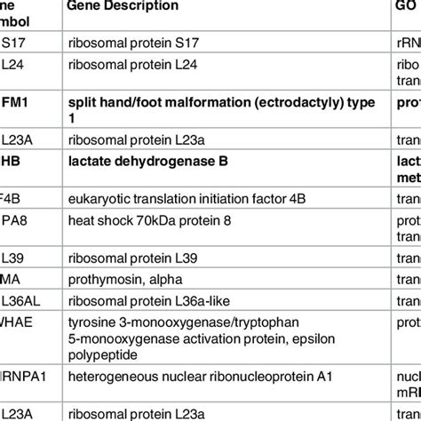 Histopathologic Nlphl Variants According To Fan Et Al A Pattern A B