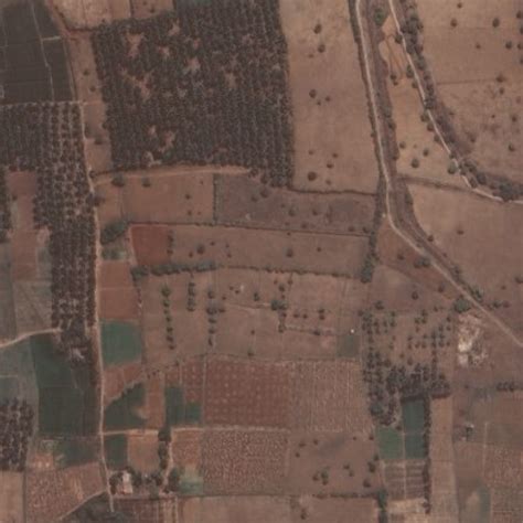 Small Dataset Instance Segmentation Dataset And Pre Trained Model By Farmland