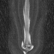 Flow Visualization Showing One And Two Vortex Breakdown Without Axial Download Scientific