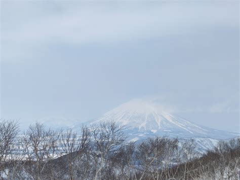 羊蹄山 森と雪の中のアトリエ