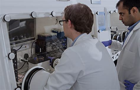 Low Oxygen Cell Culture Hypoxia Workstations Baker