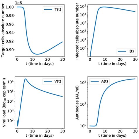 Numerical Simulation Of The First Infection Without Ade For Model Download Scientific Diagram