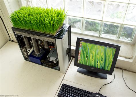 Bio Computer Living Grass Computer Total Geekdom