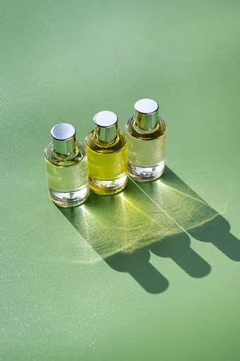 녹색 배경에 향수의 투명 병 자연 채광과 그림자 여성과 남성의 본질 개념 0명에 대한 스톡 사진 및 기타 이미지 0명 개념 개체 그룹 Istock