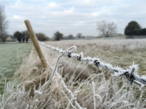 무료 이미지 울타리 서리 잔디 가족 3264x2448 55667 무료 이미지 Pxhere