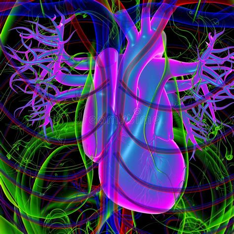 Human Heart Anatomy For Medical Concept 3d Rendering Stock Illustration Illustration Of Human