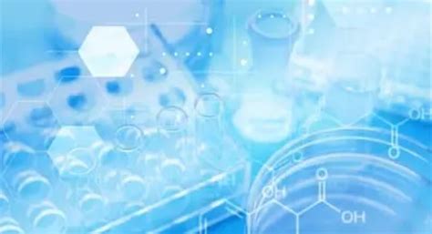 Incurred Sample Reanalysis Isr Test Northeast Biolab
