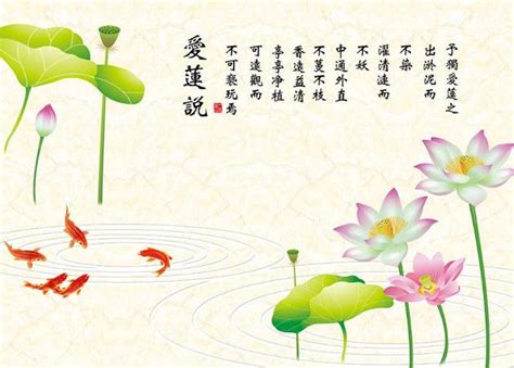 再憶愛蓮說 每日頭條