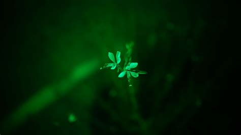 Exploring What Is A Use Case Of Factorization In Quantum Computing