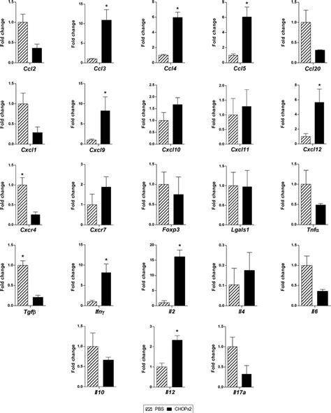 Cytokinechemokine Gene Expression Levels In The Tumor Download