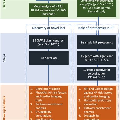 Schematic Diagram Of The Datasets And Analyses HF Heart Failure MVP Download Scientific