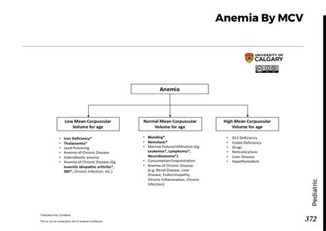 Anemia By Mcv Blackbook Blackbook