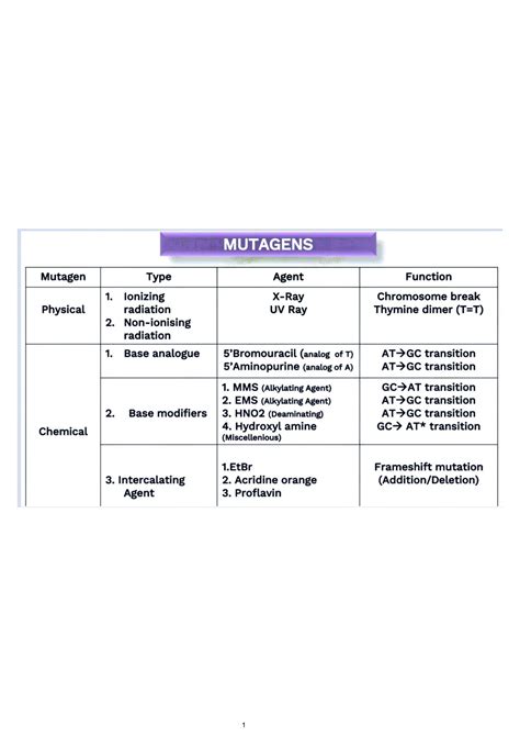 SOLUTION Different Types Of Mutations And Related Mutagens Studypool