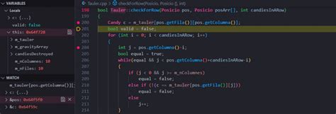 Strange Segmentation Fault When Accessing A Class Inside A For Loop