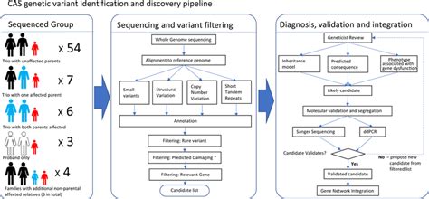 Genetic Variant Identification And Variant Filtering Pipeline For Download Scientific Diagram