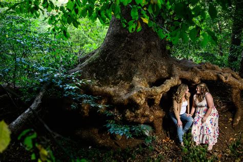 Wedding Photographers Lauren Brimhall Photography