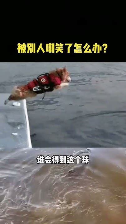 每个人都有短板，如果总盯着短处去弥补会很难与别人竞争且容易自卑，内心强大从来都不是说说，而是引导和发现，一定要鼓励孩子在长处竞争亲子教育 嘲笑 优点 Youtube