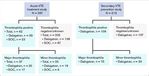 Disposition Of Patients In The Acute Vte Treatment Study And Secondary Download Scientific